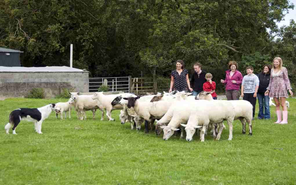 10 Top Picks for Delightful Family Days Out Near Dublin