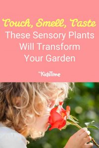 Touch, Taste, Smell...These Sensory Plants Will Transform Your Garden