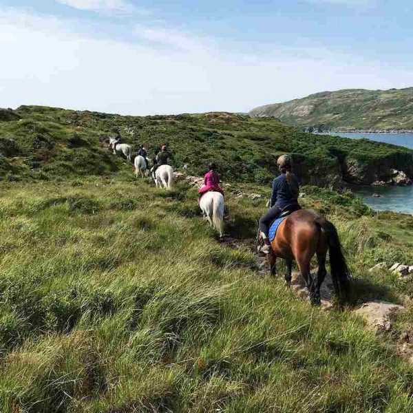 13 Outstanding Places to See Horses in Ireland (and Even Saddle Up!)