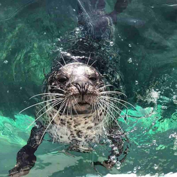 14 Unique and Exciting Things to Do in Newcastle with Kids