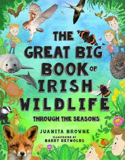These Irish Books for Kids Make Great Gifts to Treasure