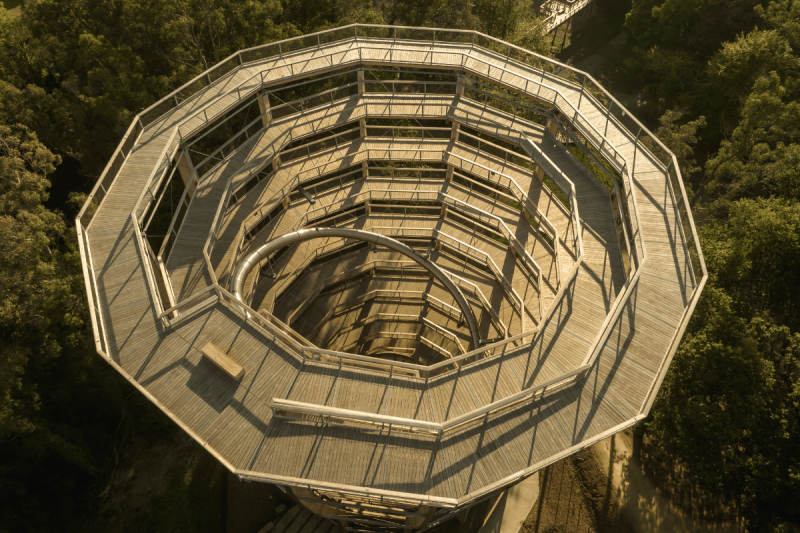 Win a Family Pass for the Treetop Walk Experience at Beyond the Trees ...