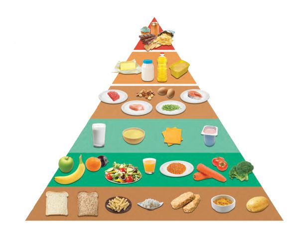 The New Food Pyramid - 6 steps to a healthier family